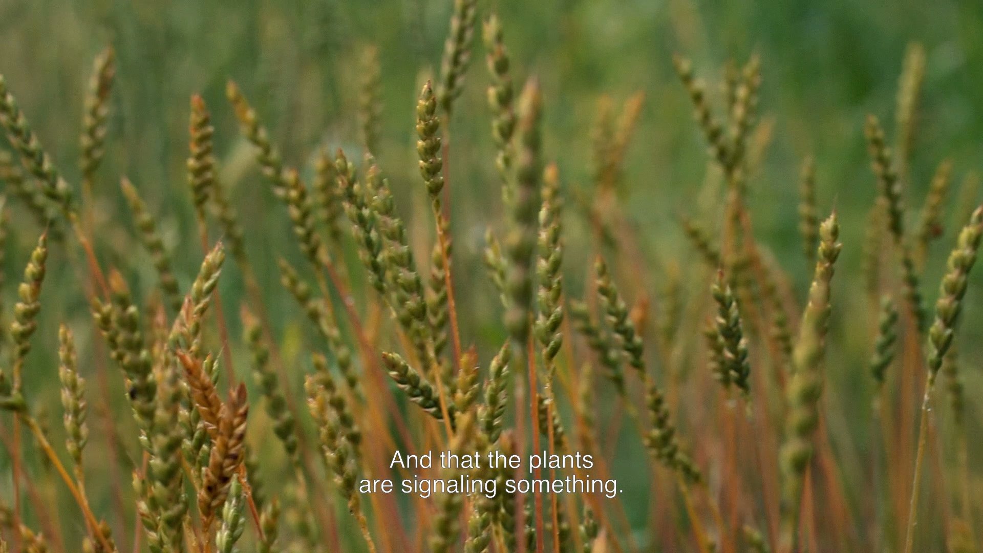 Opening Reception: from where the grain itself can speak - Taproot ...