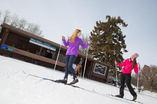 Learn to Ice Bike and Kicksled - Taproot Edmonton Calendar